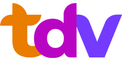 TDV is Available on DISH Channel 881 | Infinity Dish